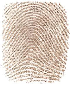 FBI Fingerprint Patterns: Loops, Whorls, Arches Explained