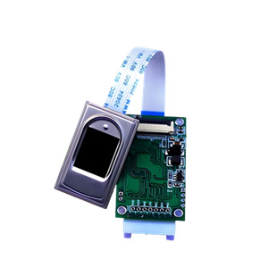 How Do Biometric Fingerprint Scanners Work? - IDWorld